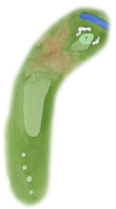 Course & Facilities - The Golf Club at Redmond Ridge